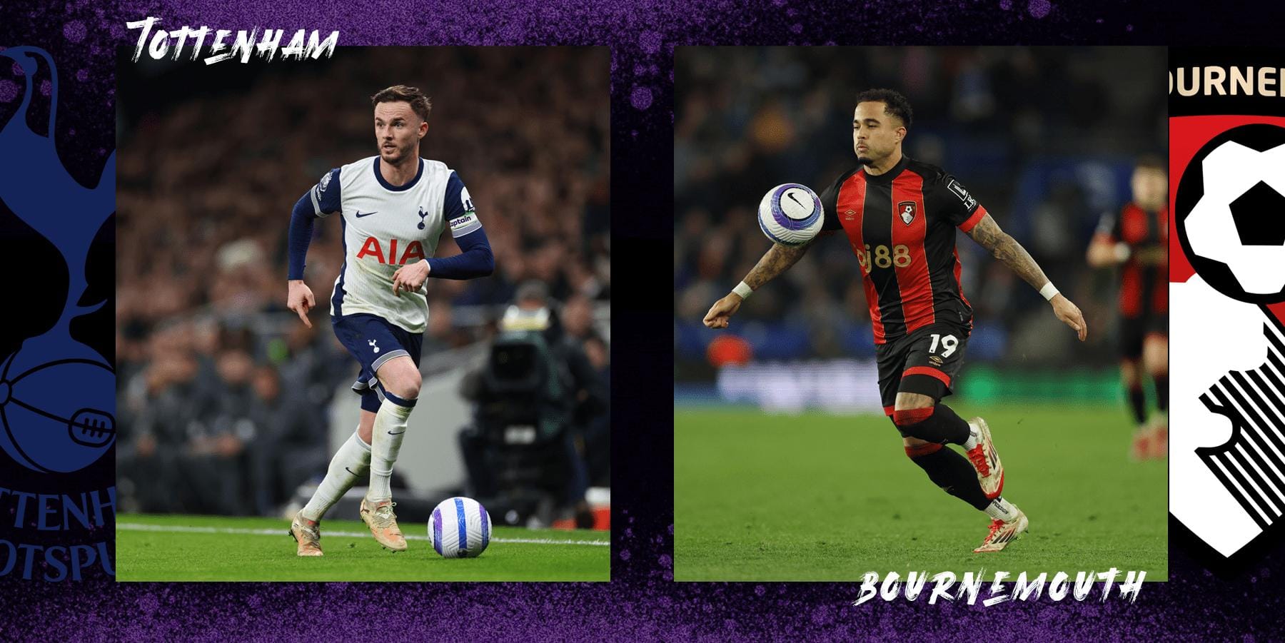 Tottenham Confirm Season Ticket Price Freeze and Senior Consessions to ...